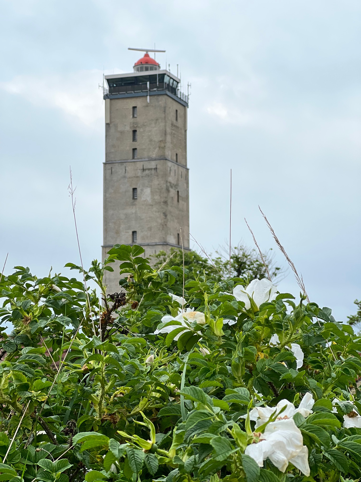 Foto's :: de5gezusters.nl